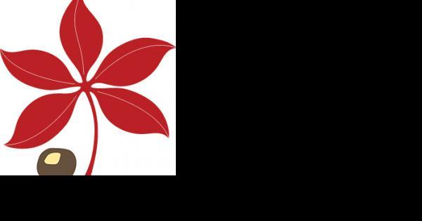 2022 SPPO Departmental Awards Recipients | Spanish & Portuguese